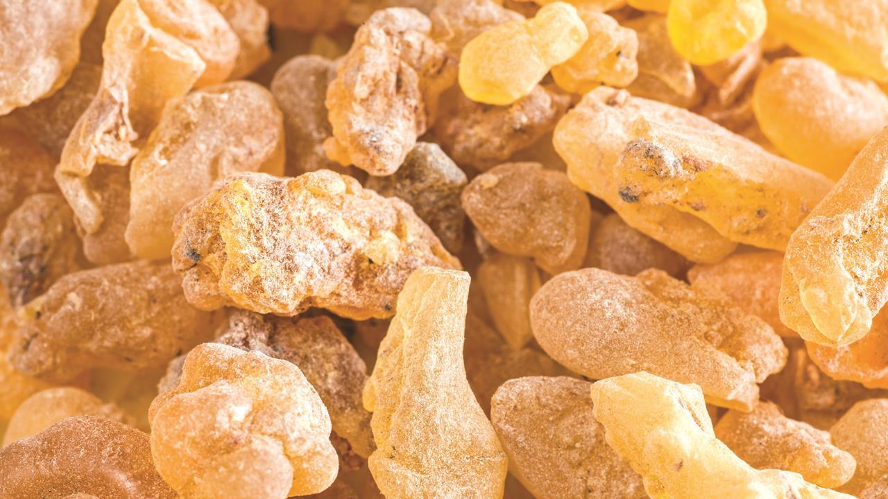 Drink Frankincense Water to Prevent Headaches, Strengthen and ...